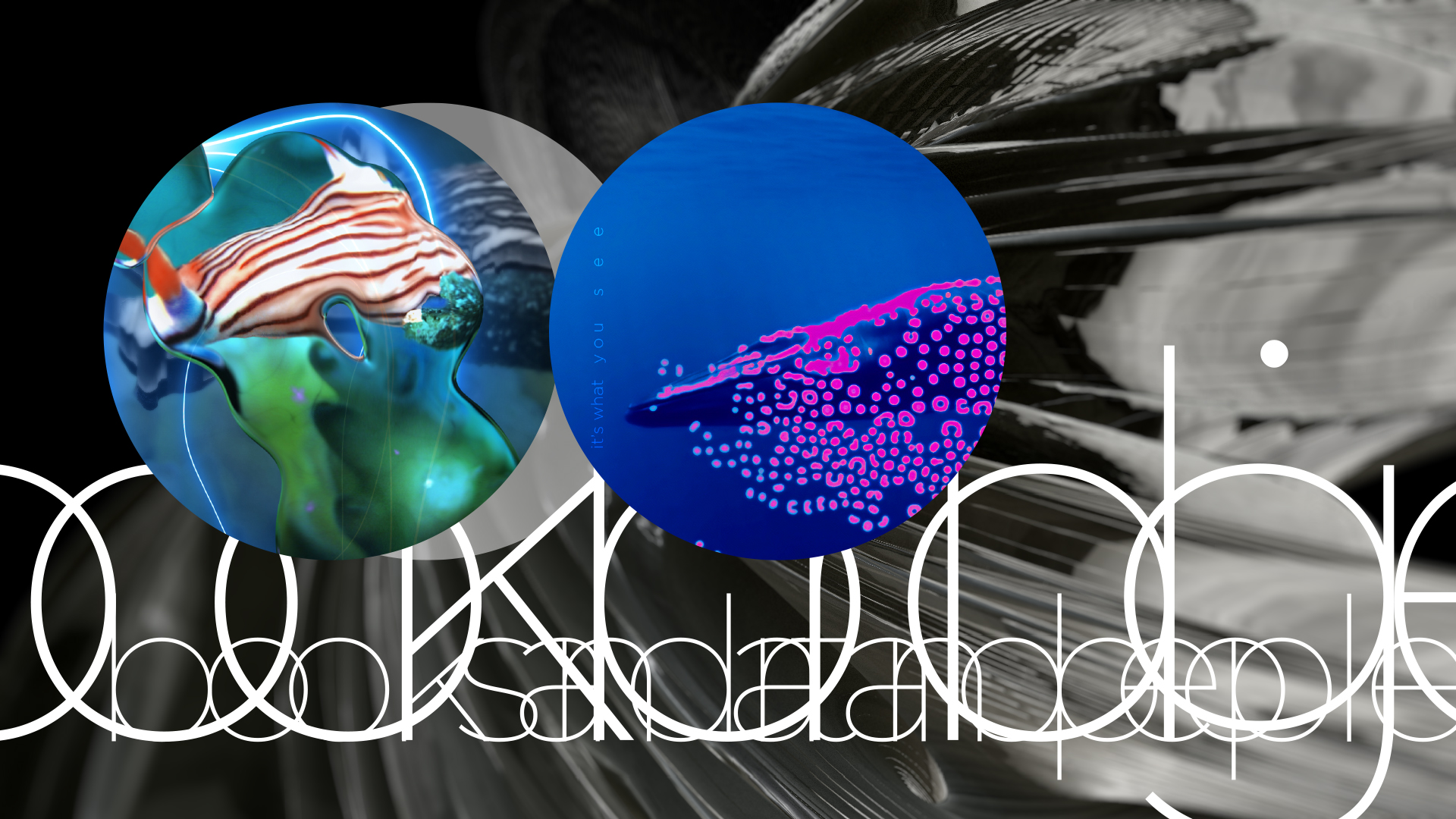 bookbridge: Tanzania Digital - Creatokia